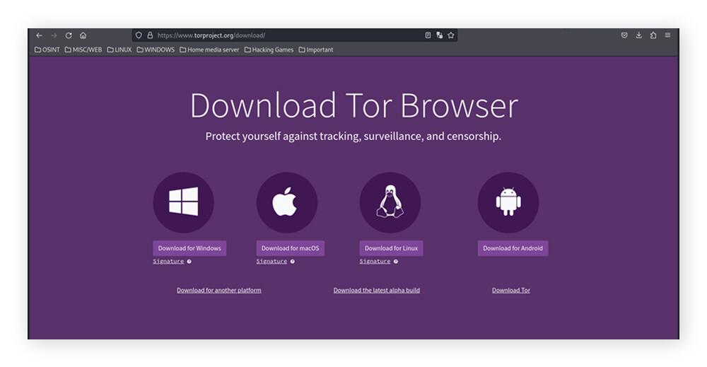 How to Access the Dark Web Safely in 2025